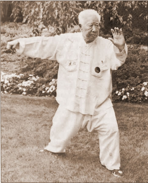 Yang Zhen-ji - Taijiquan.cz
